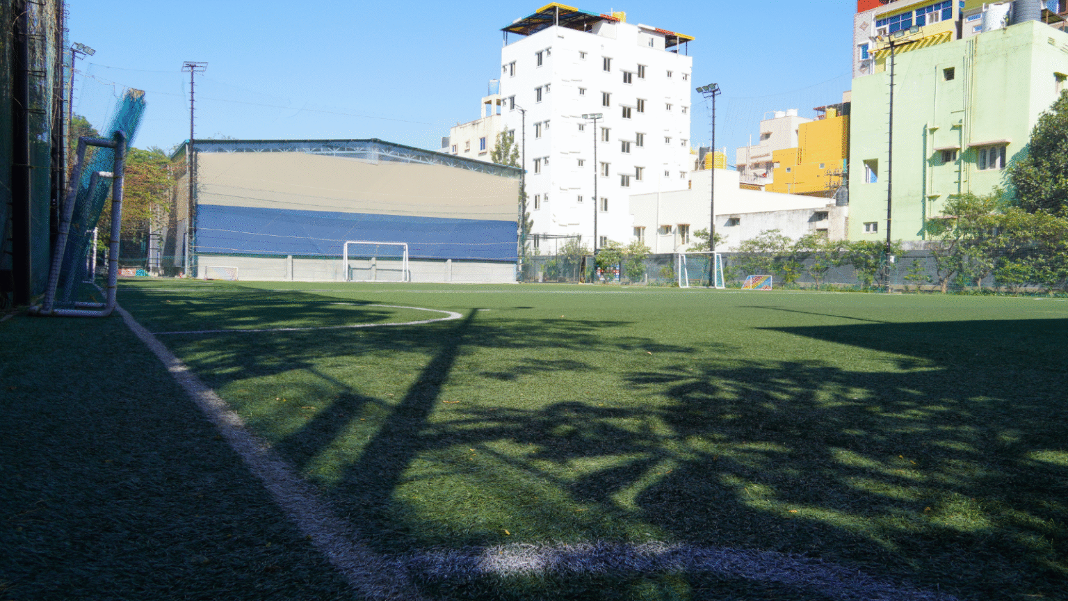 Cricket & Football Turf | Play Arena